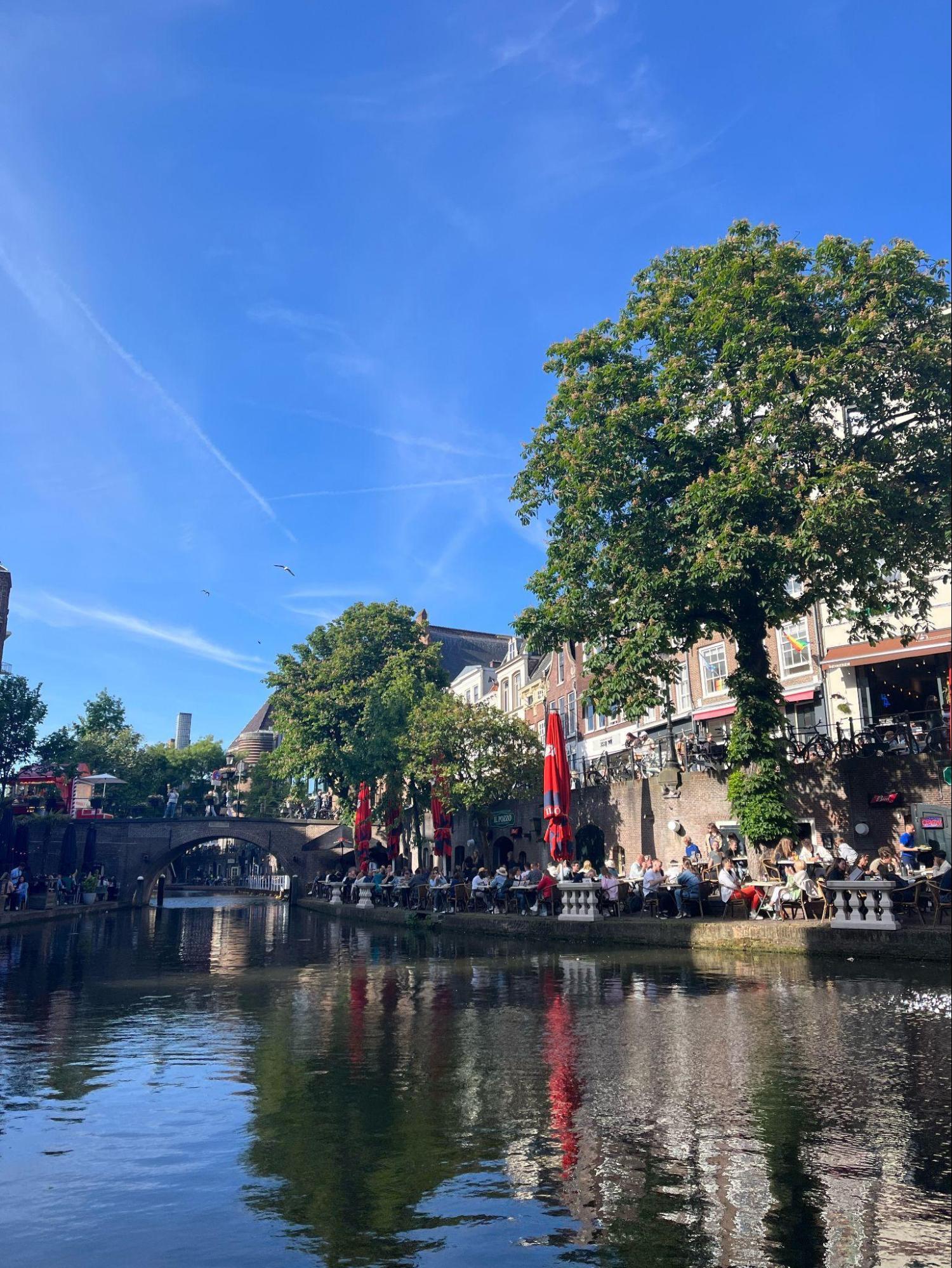 オランダ・ユトレヒトはミッフィー誕生の町！たくさんのミッフィーで溢れる現地の体験を紹介 - Culturize