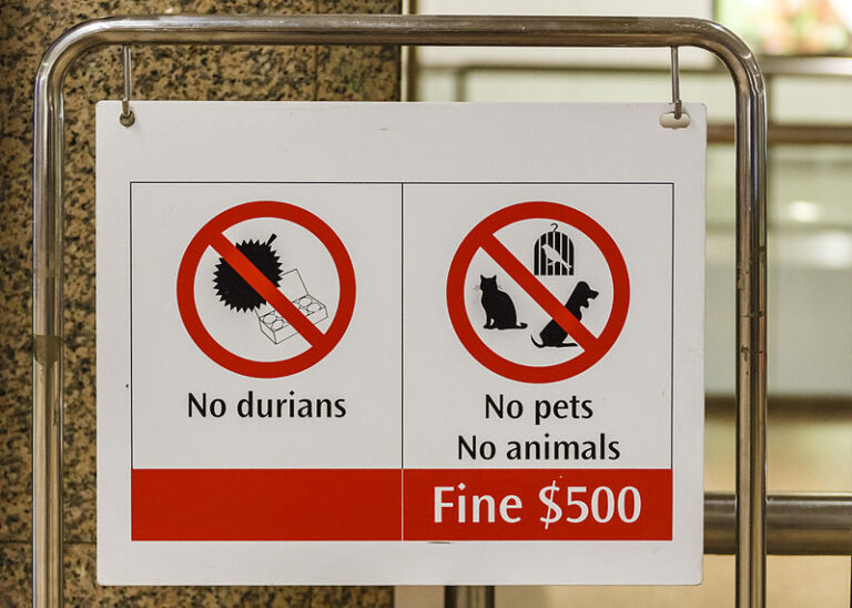シンガポールでガムは禁止！法律やルール・してはいけないこと・罰金を在住歴12年の筆者が解説 - Culturize