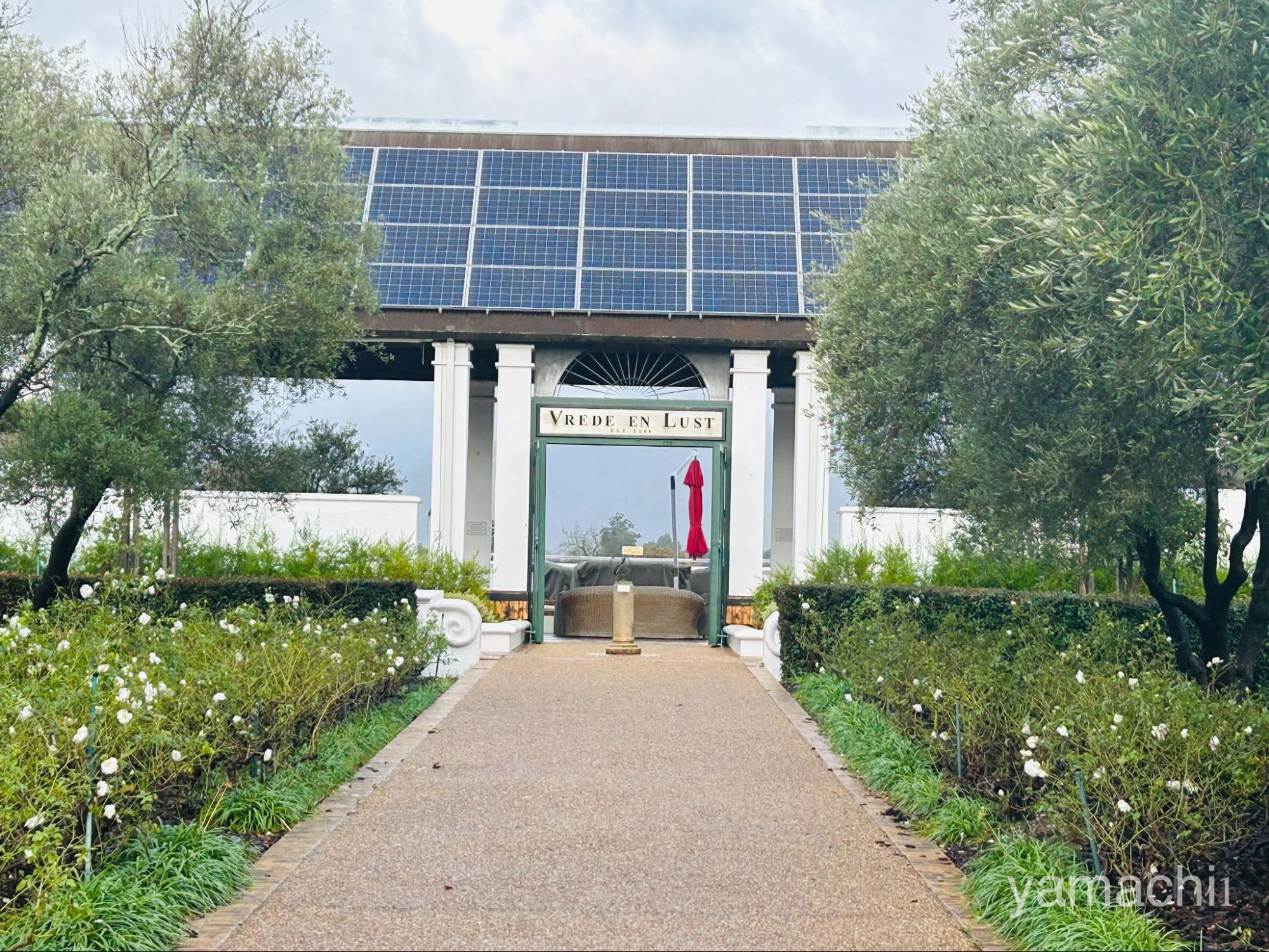 【注目の南アフリカワイン】その魅力とおすすめのワイナリー・ワインを在住筆者が紹介！ - Culturize