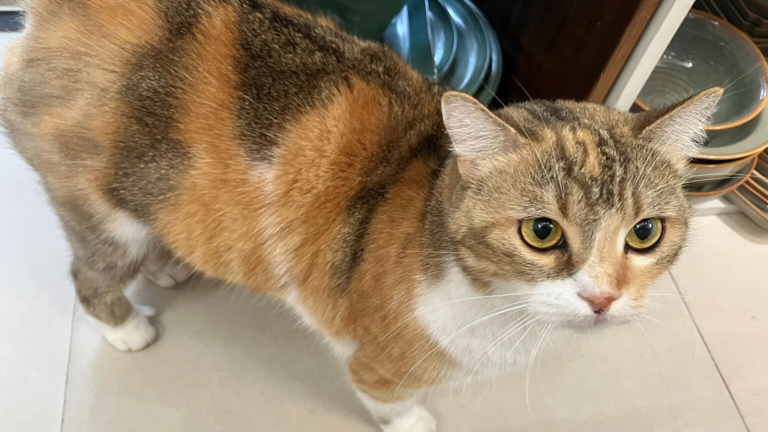 タオディエンでショッピング！雑貨店で自分へのお土産を見つけよう！ - Culturize